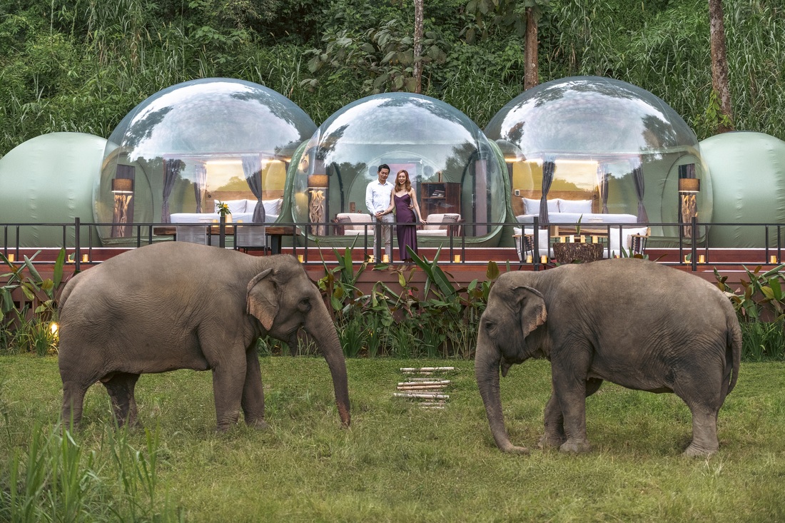 Hotel Intel Sleep Among The Elephants In Thailands Jungle Luxury Travel Magazine Luxury