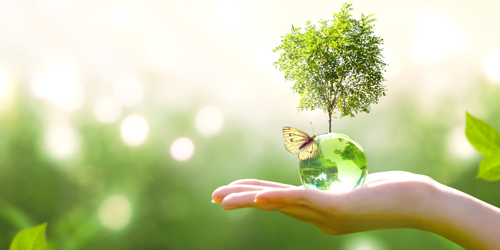 NEWS: Earth Day 2020 - how to help heal the world | Luxury Travel And ...