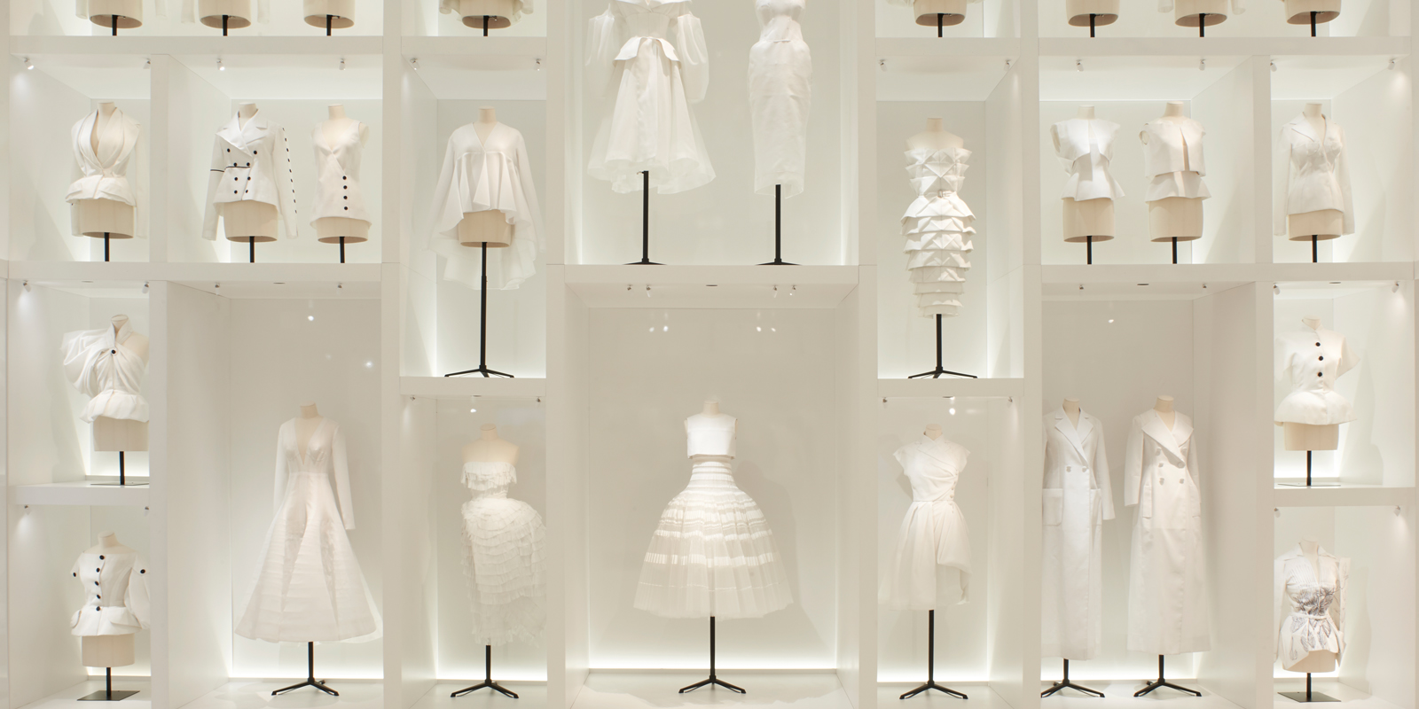 Haute Couture Background