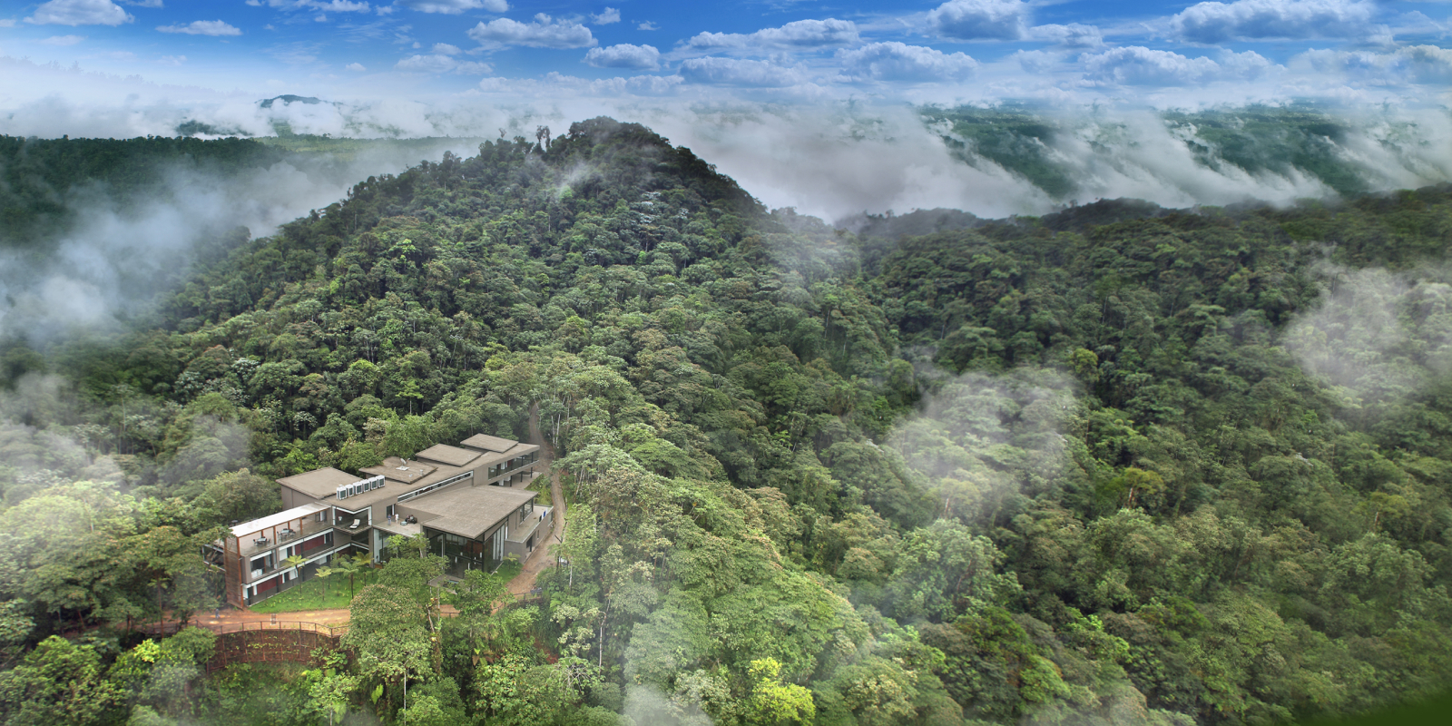 OUT OF THIS WORLD: Ever stayed in a cloud forest? Well, now you can ...