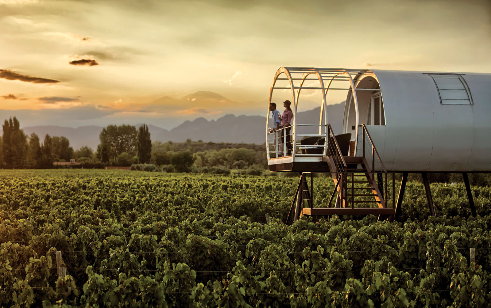 Everything you need to know about Malbec – and where to drink it ...