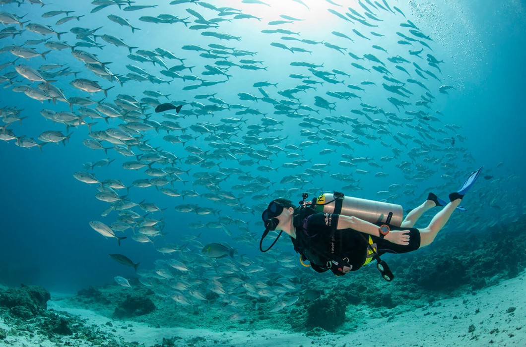 ADVENTURE: Four Seasons Explorer charts a new course to the South ...